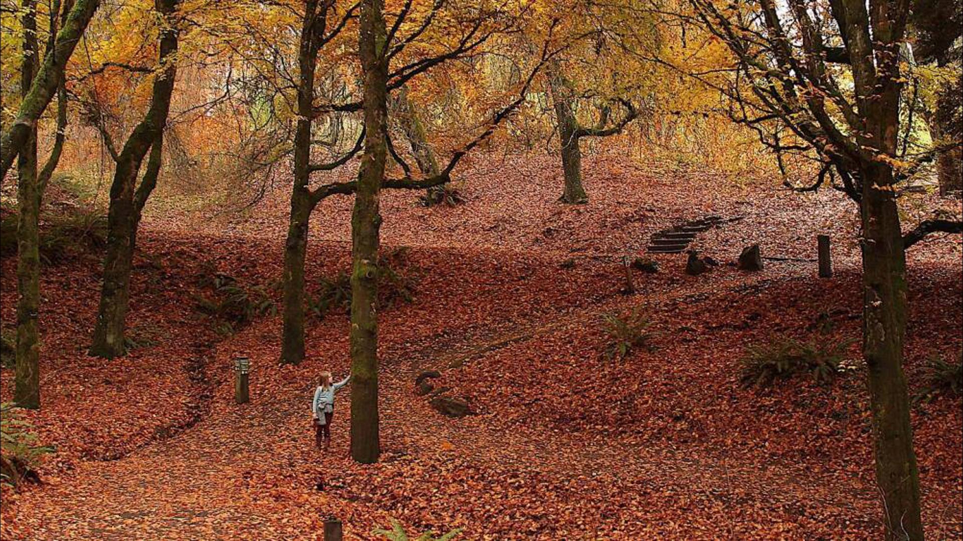 When does fall start in 2025? | cbs8.com