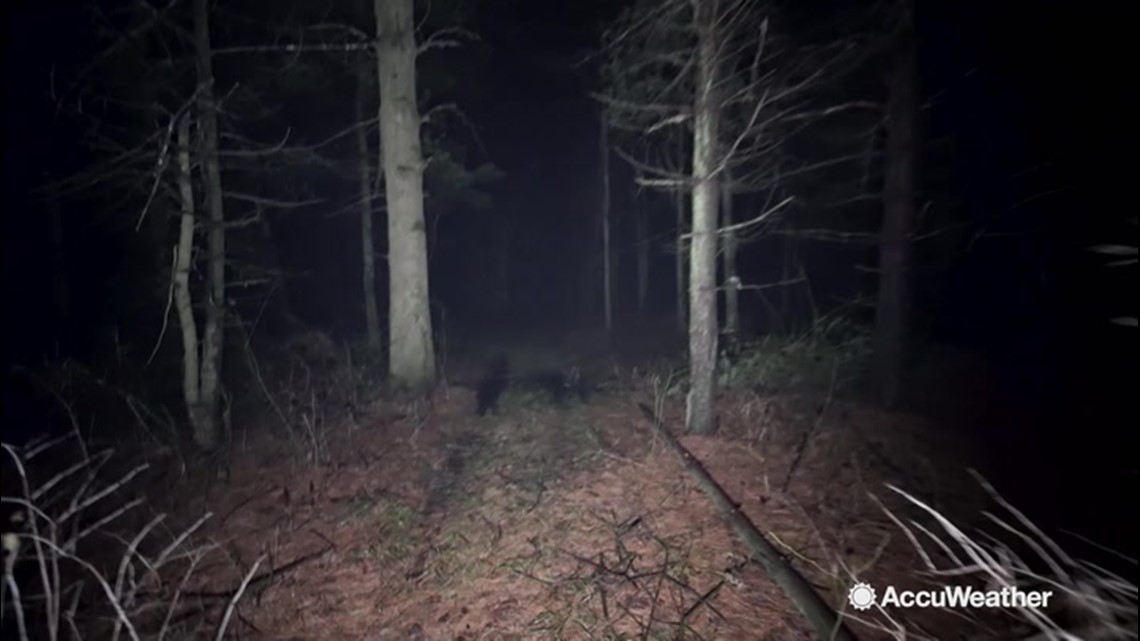 What is the best time of day to experience paranormal activity? | cbs8.com