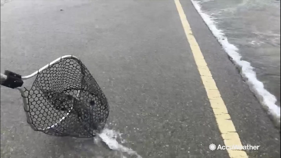 Flooding lets fish swim on the highway | cbs8.com