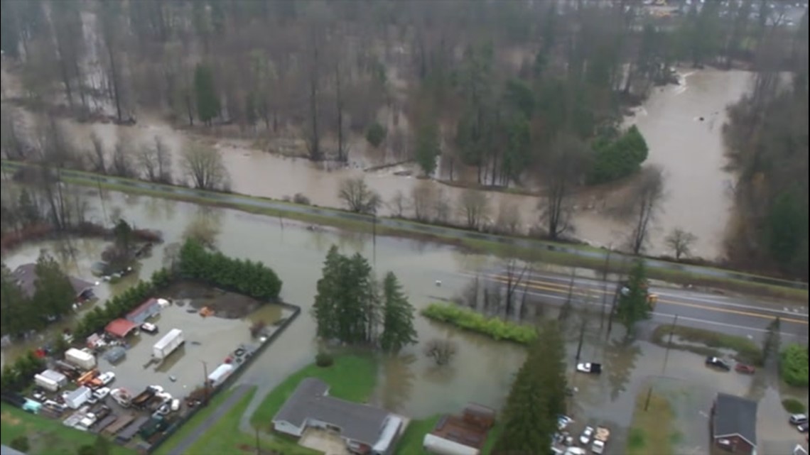 Forest turns into swamp following river flooding | cbs8.com