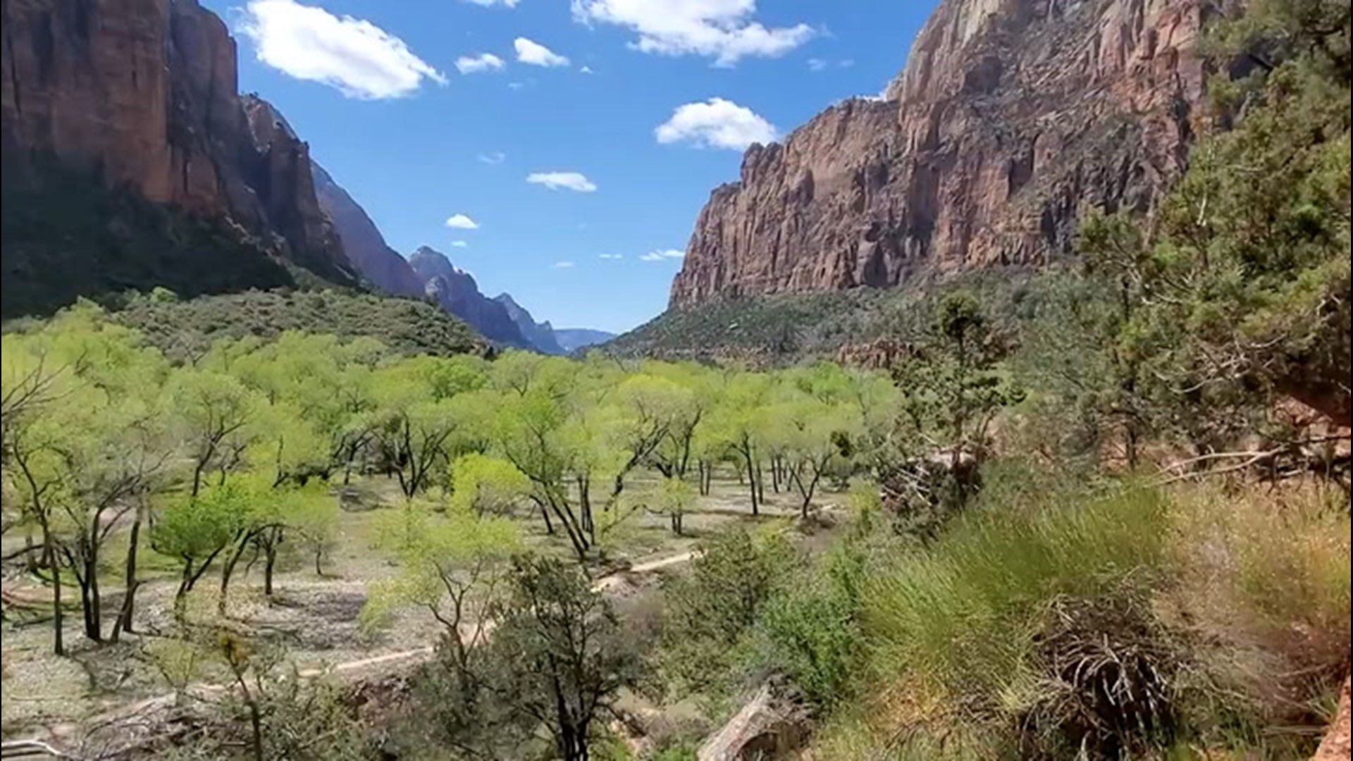 Taking a virtual hike in Zion National Park | cbs8.com