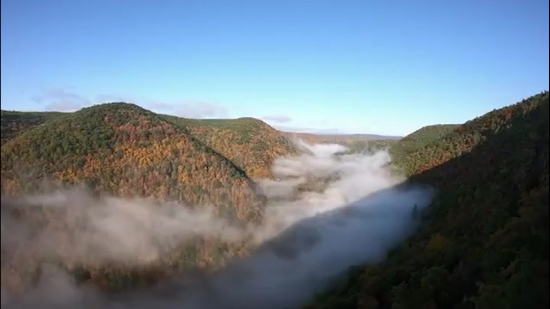 Fogs sweeps through Pennsylvania Grand Canyon | cbs8.com