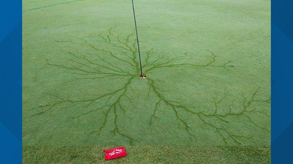 Hole in one? Lightning strike leaves mesmerizing display on golf course ...