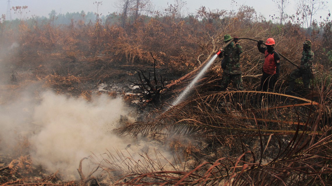 Thousands of fires in Indonesia produce thick haze across Southeast ...