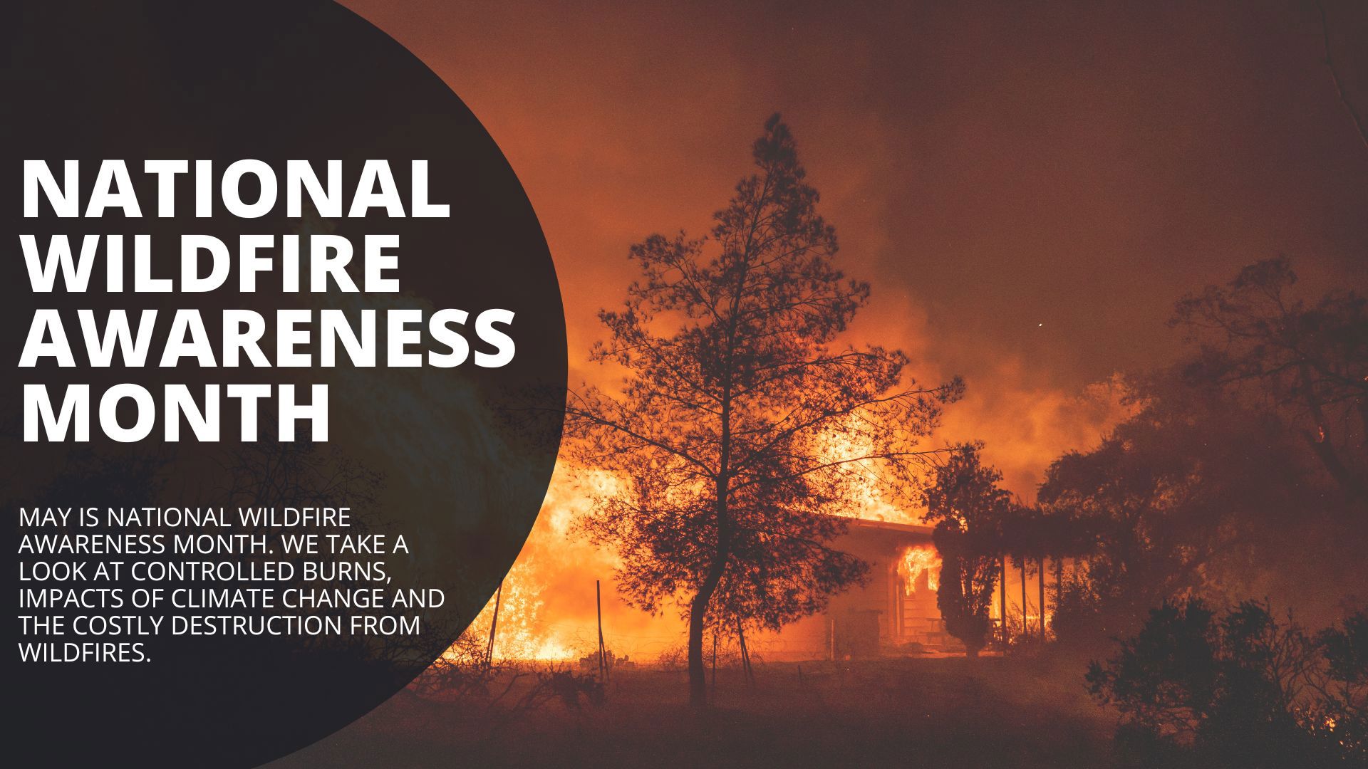 In the News Now | National Wildfire Awareness Month | cbs8.com