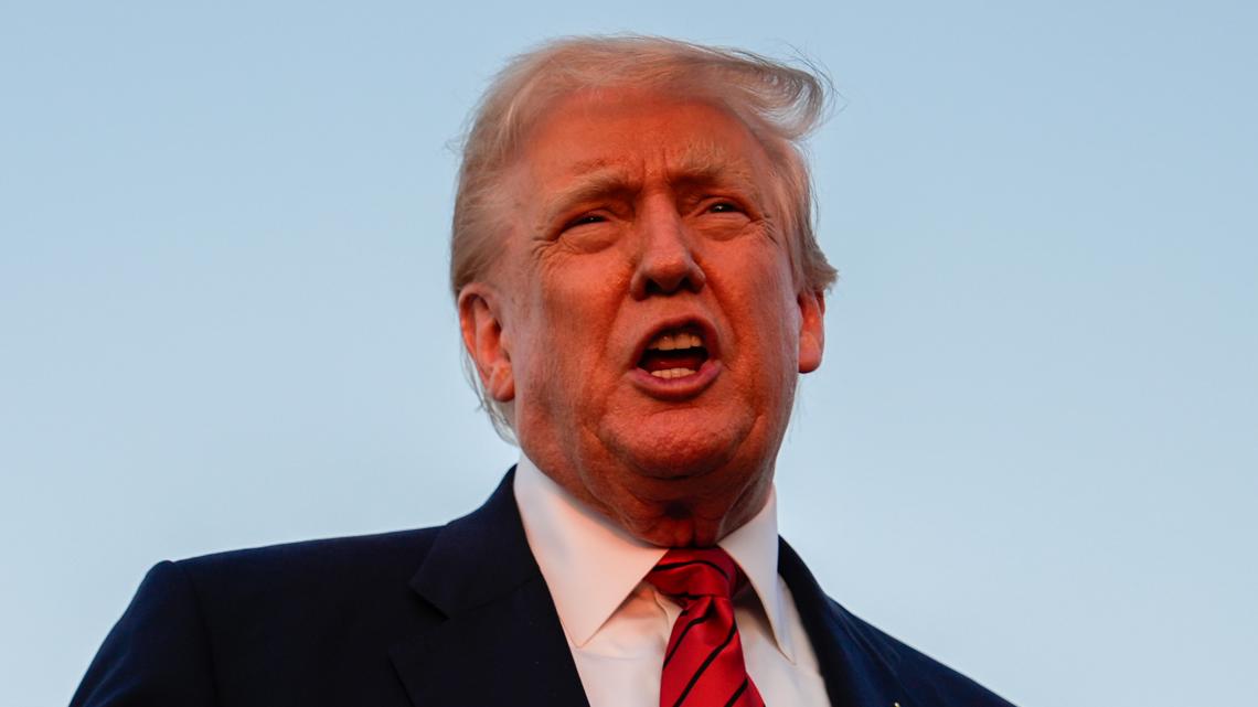 'Save This Life' pet microchip company shuts down | cbs8.com