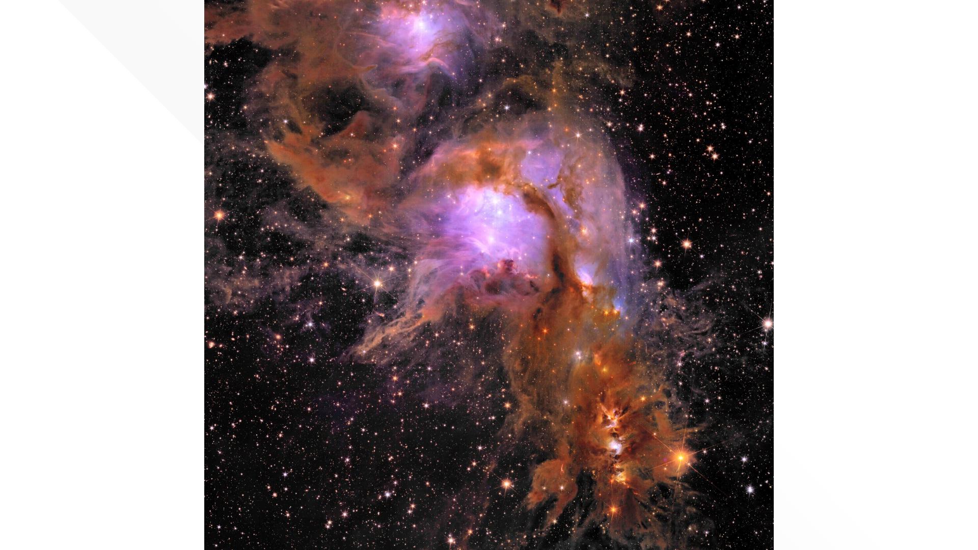 Massive cradle of baby stars revealed by European space telescope ...