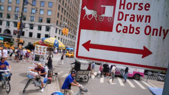 New York mayor, other leaders push to ban horse-drawn carriage rides ...