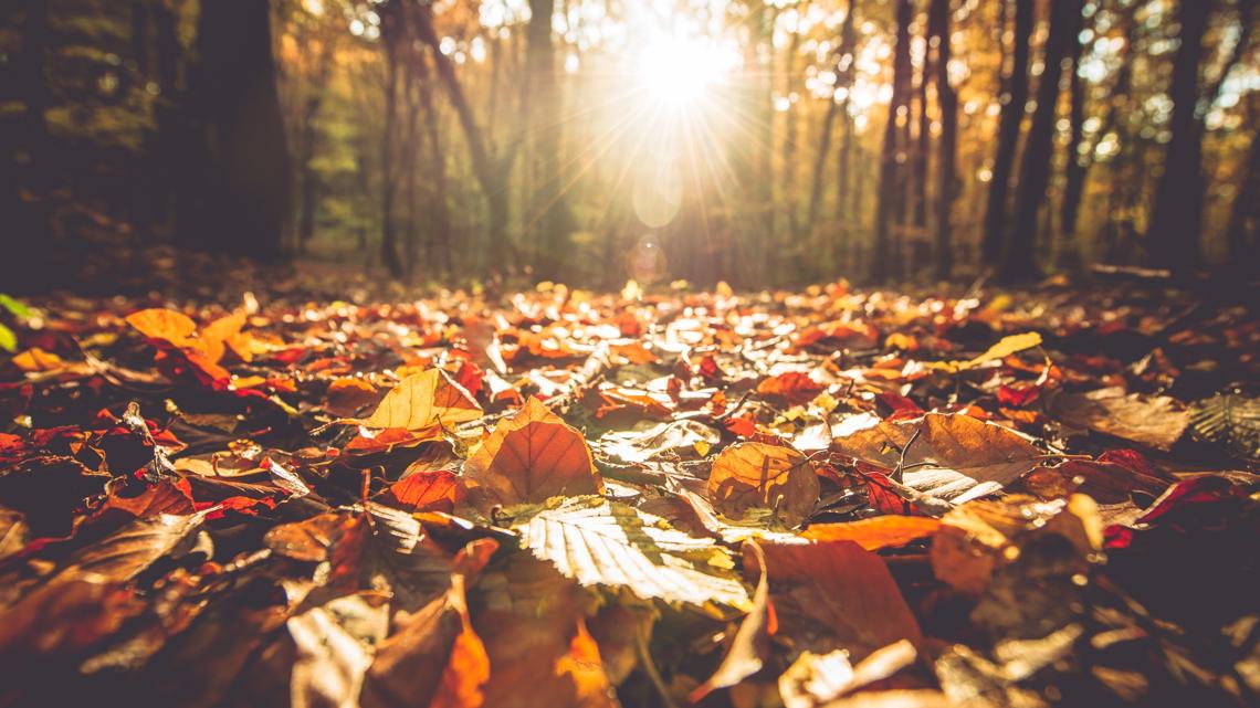 When does fall start in 2025? | cbs8.com
