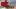 Where is Santa Claus right now? NORAD tracks Santa for 70th year | cbs8.com