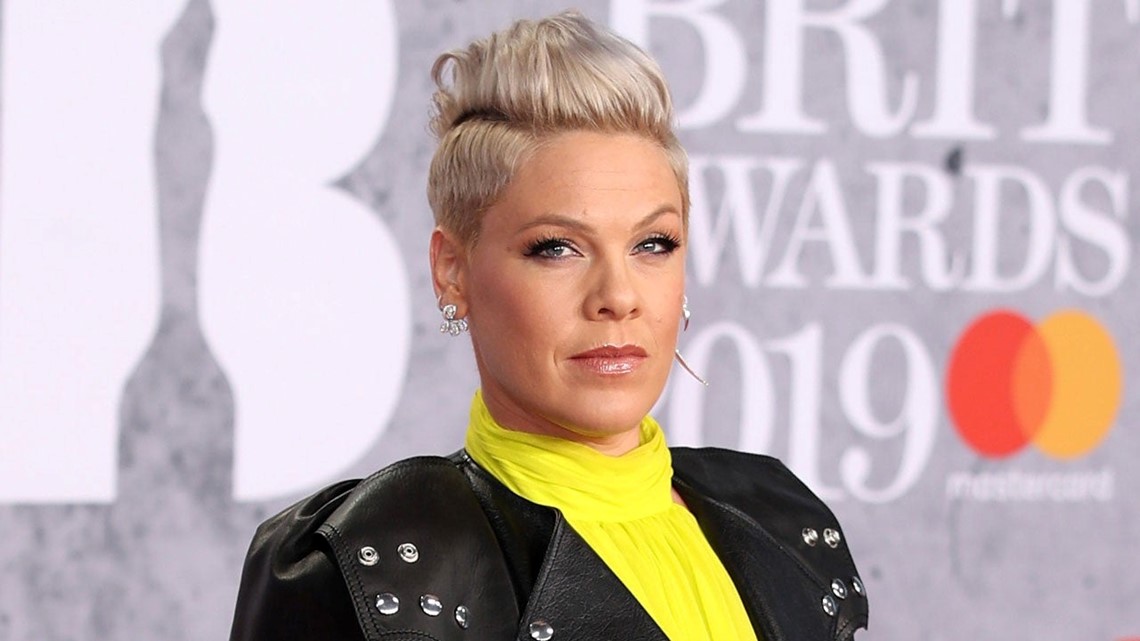 Pink Slams Hateful Comments After Showing Support for Black Lives ...