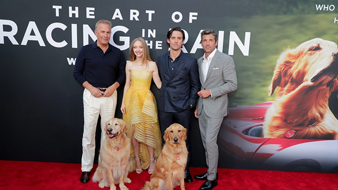 'The Art of Racing in the Rain': More than just a dog movie | cbs8.com