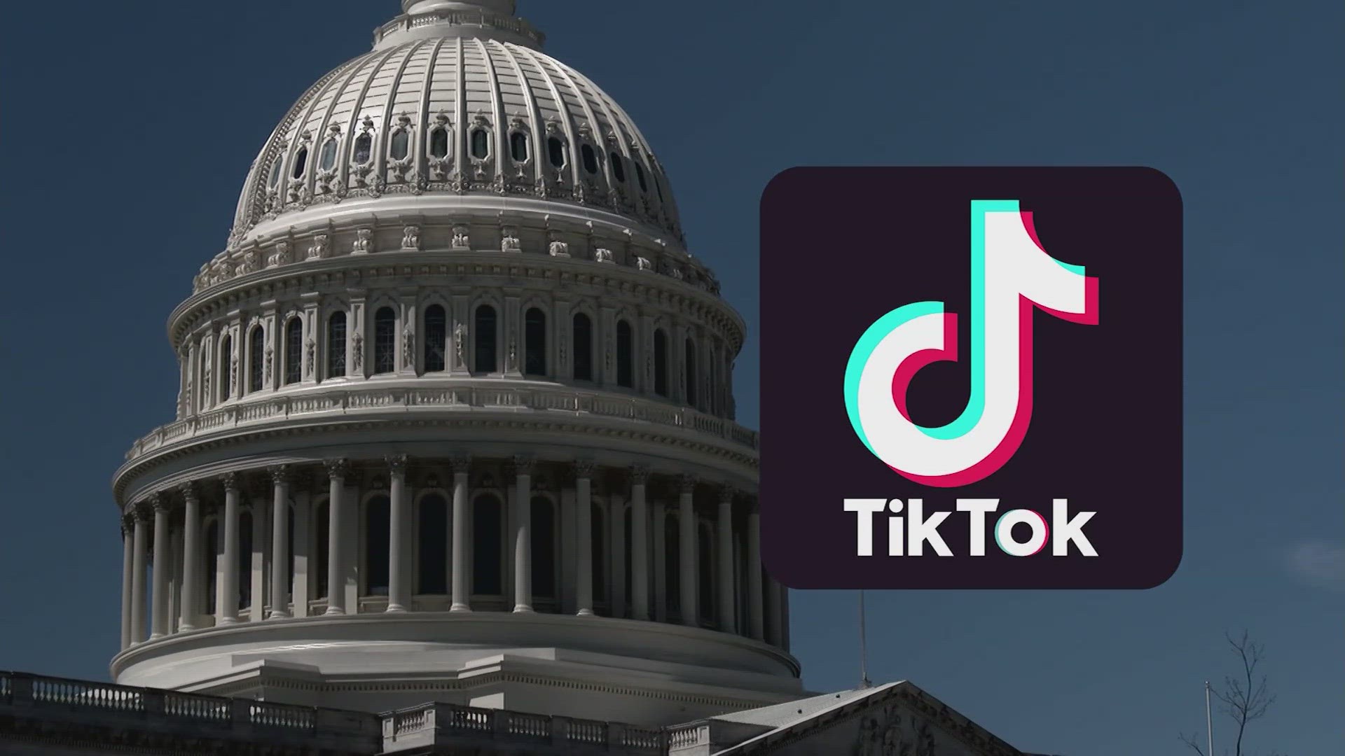 Members Of Congress On Tiktok Defend App