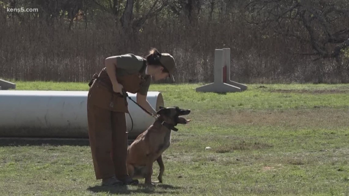 Teen in remission trains military working dogs at Lackland AFB | cbs8.com