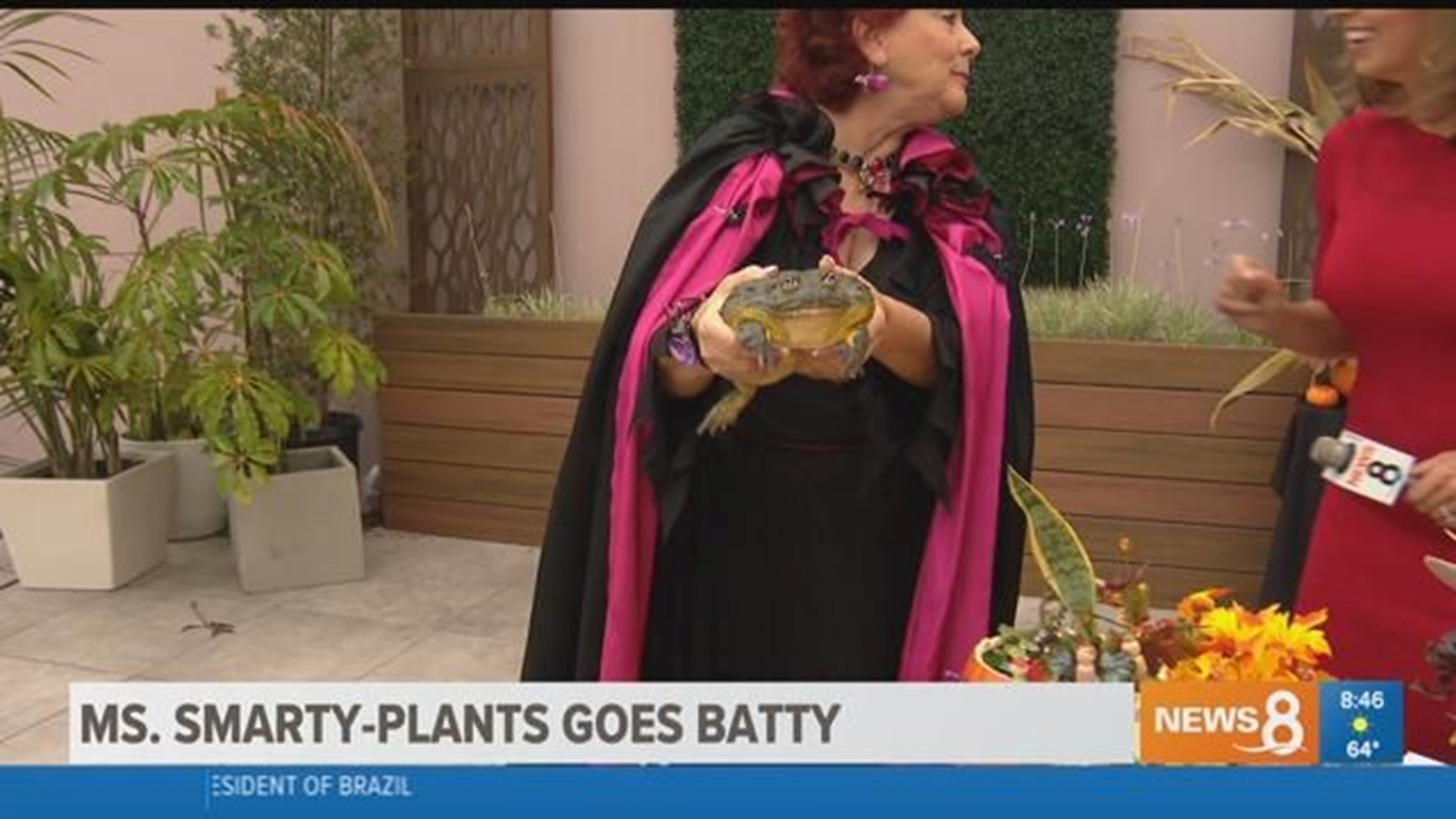 Ms. Smarty Plants shares her creepy crawly friends in honor of ...