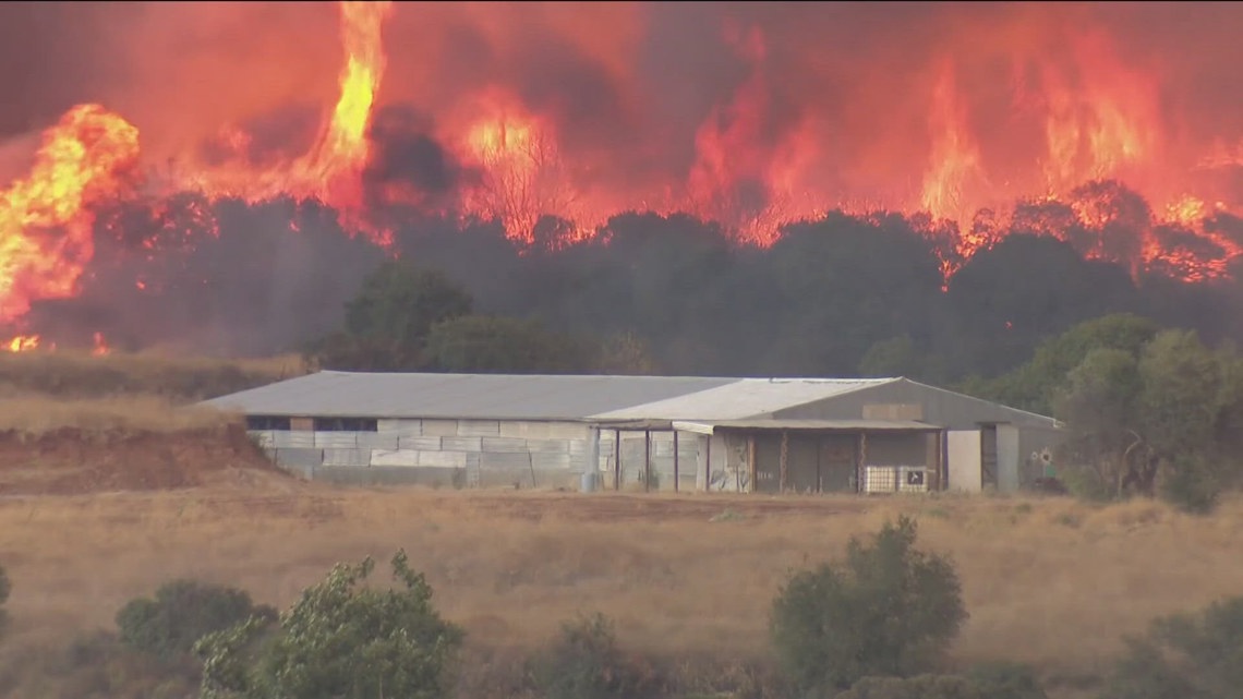 Wildfire mitigation program helps protect homes in San Diego | cbs8.com