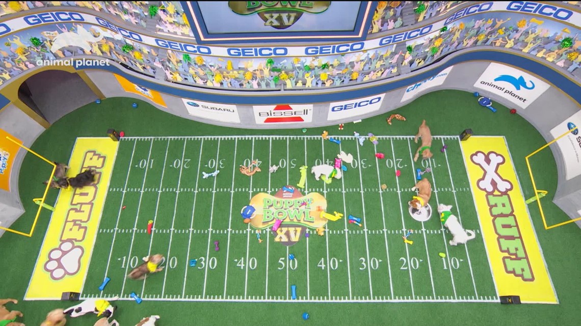Team Ruff vs. Team Fluff square off in the 15th Annual Puppy Bowl ...