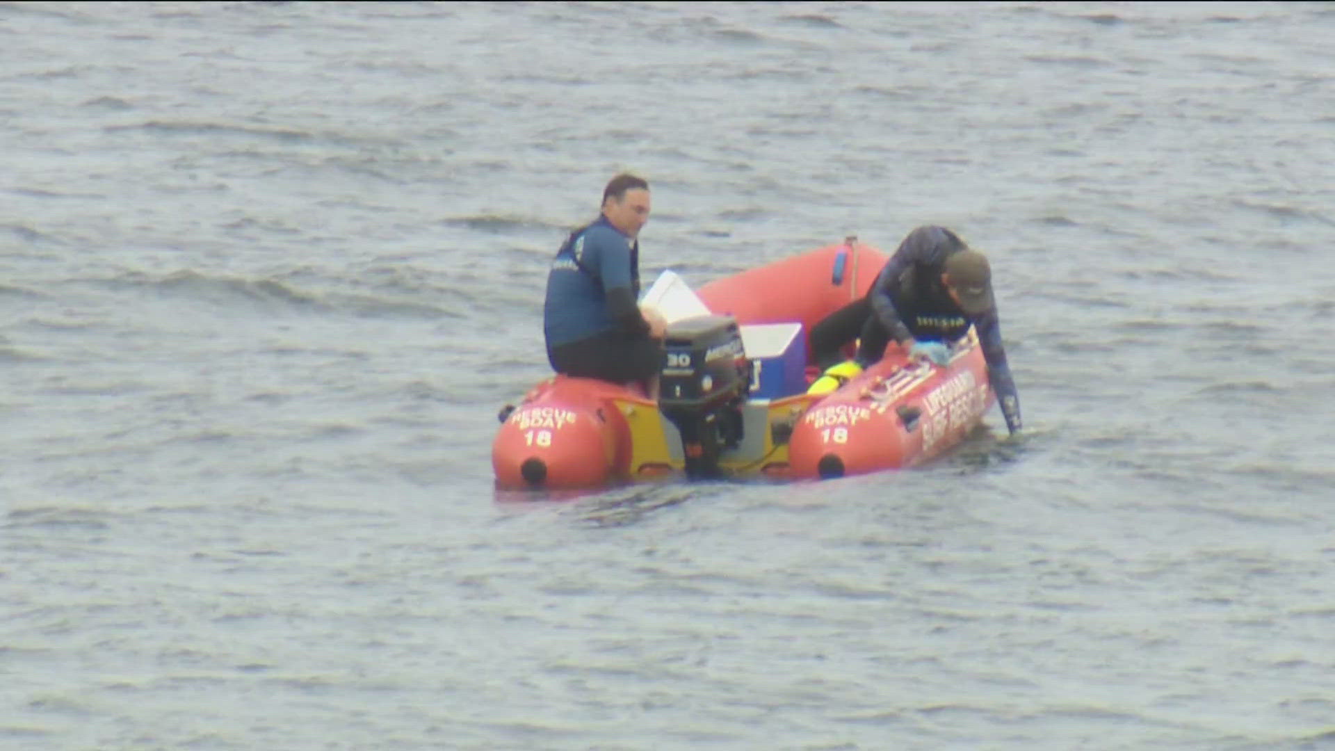 Del Mar shark incident | Scientists use water samples and victim’s ...