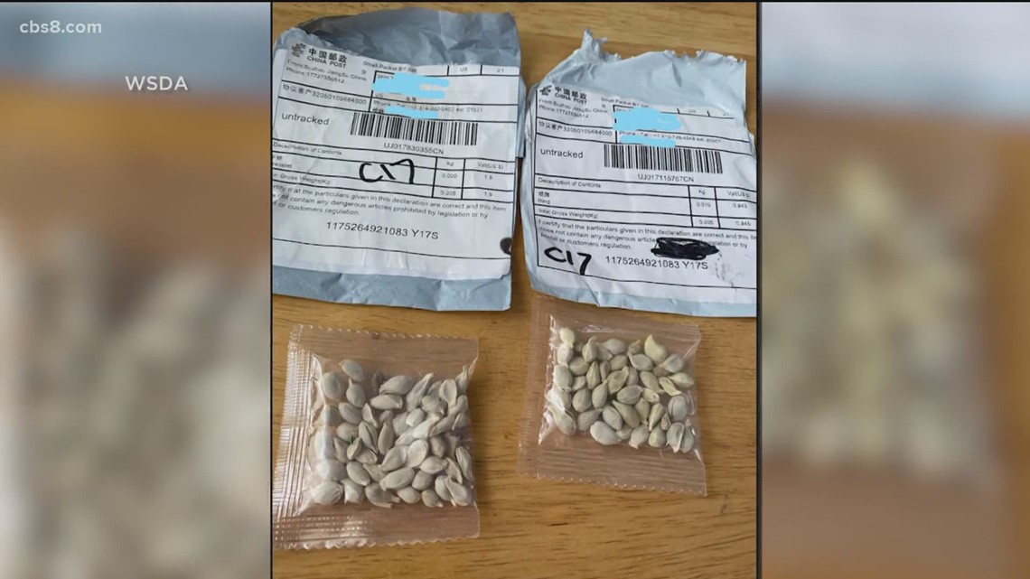 Mystery seed packages from China arrive in San Diego | cbs8.com