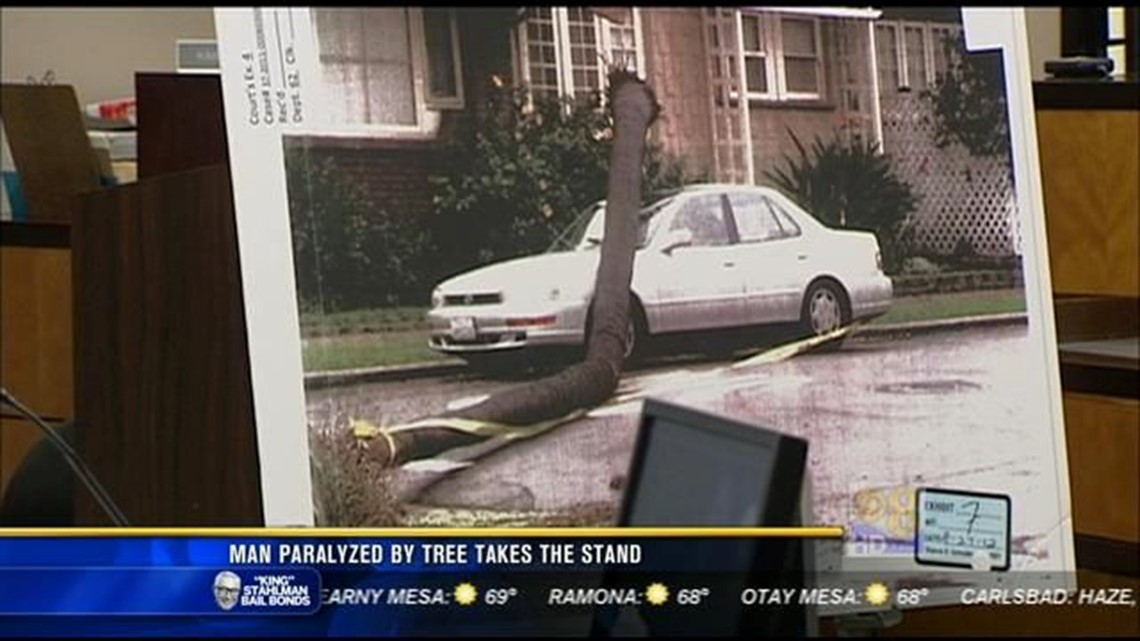 Man paralyzed by tree takes the stand | cbs8.com