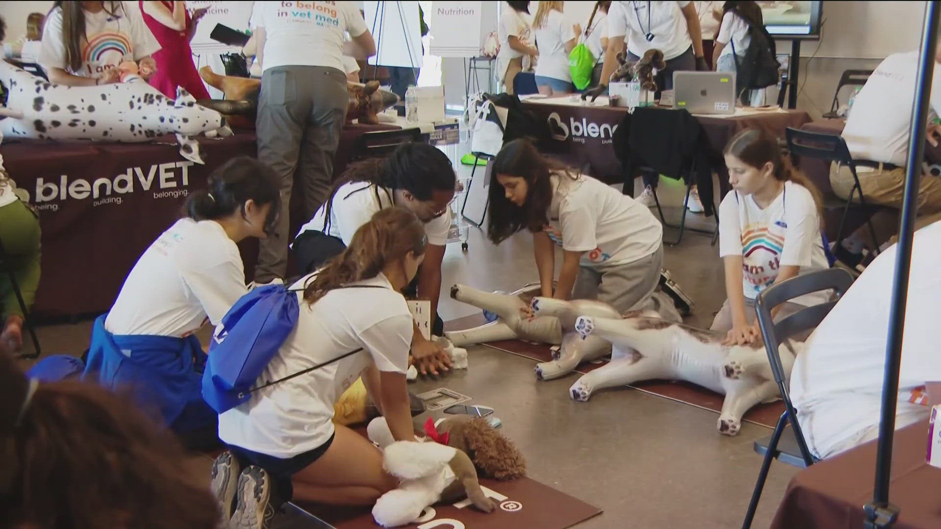 Students explore veterinary medicine at High Tech High event | cbs8.com