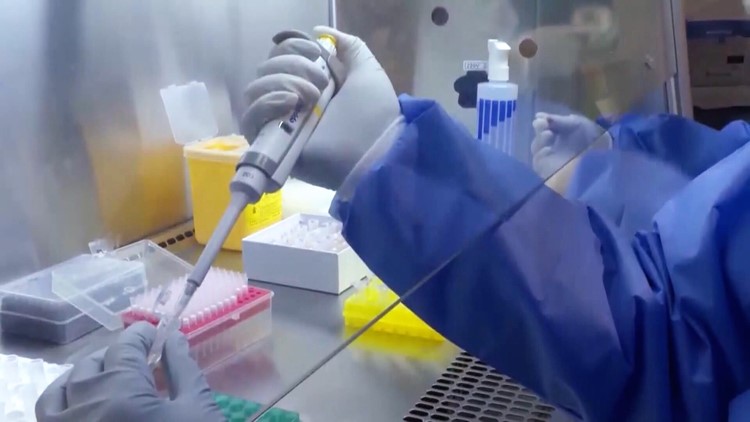 Coronavirus COVID-19 News | cbs8.com