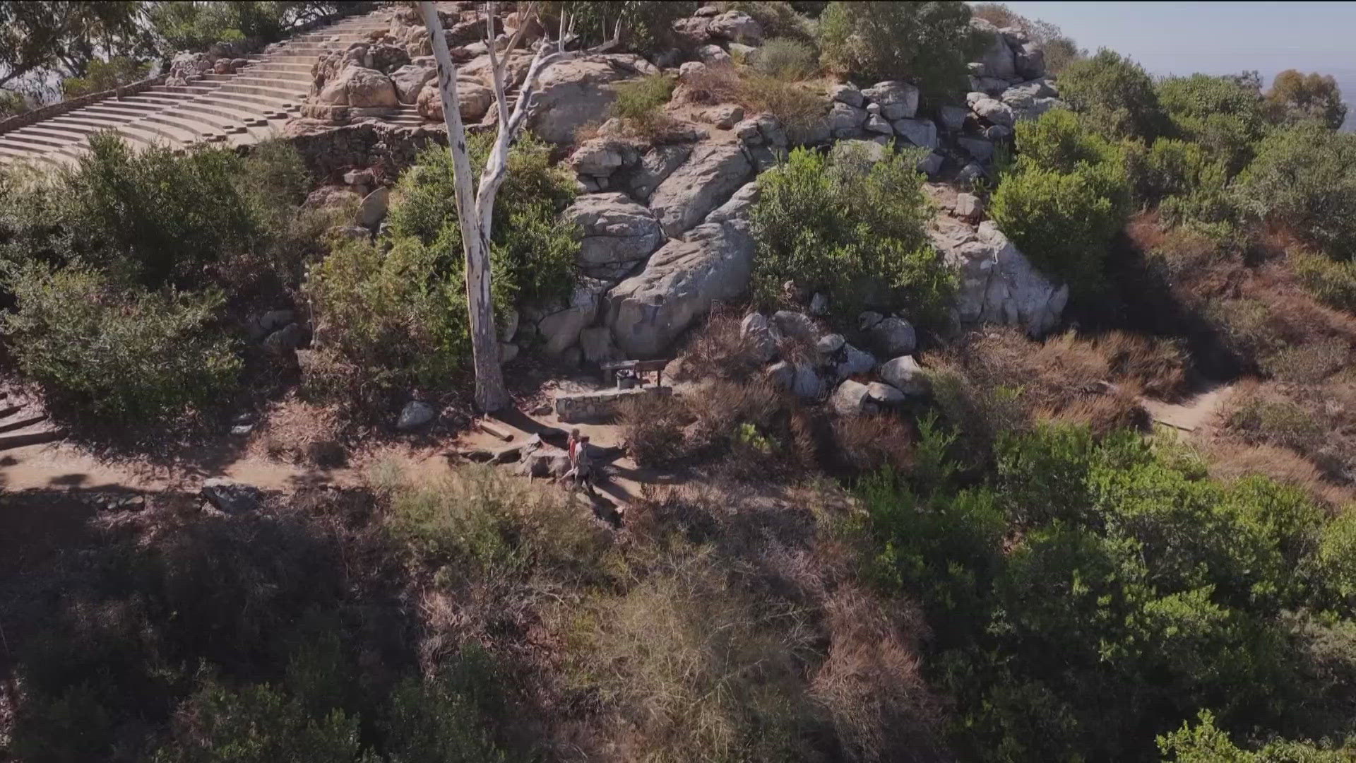 Mount Helix Park restores 98% of habitat to native state | cbs8.com