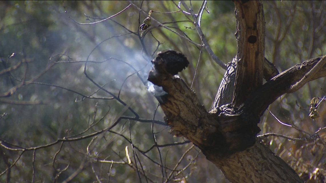 Dry and windy conditions topple trees, spark brush fire near Mission ...