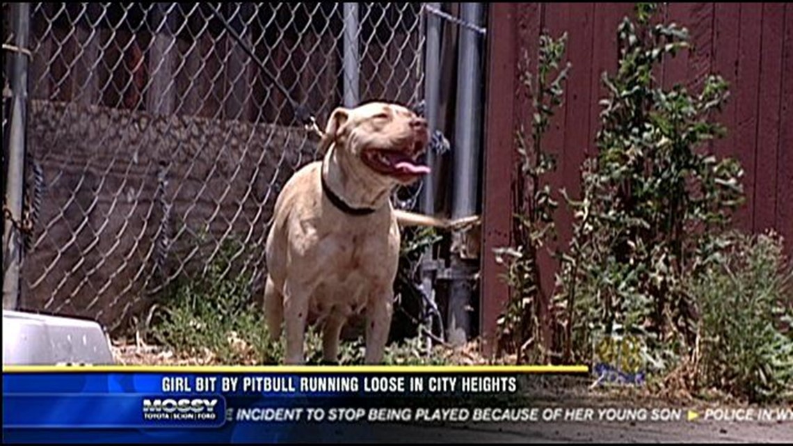 Girl bit by pit bull running loose in City Heights | cbs8.com