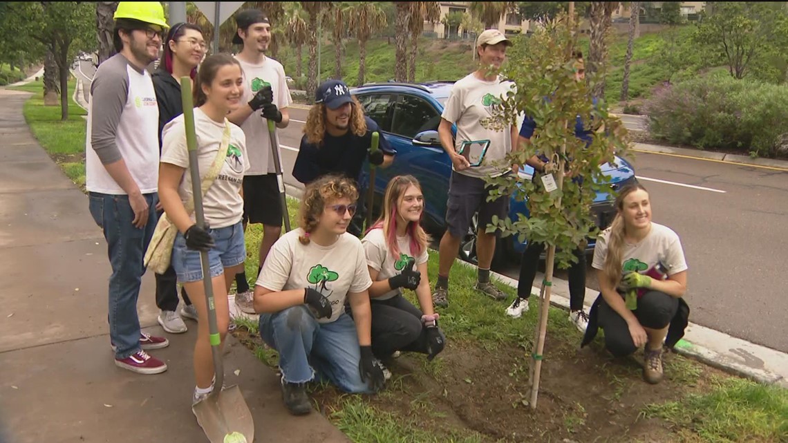 San Diego County Chevrolet dealers and nonprofit Tree San Diego join ...