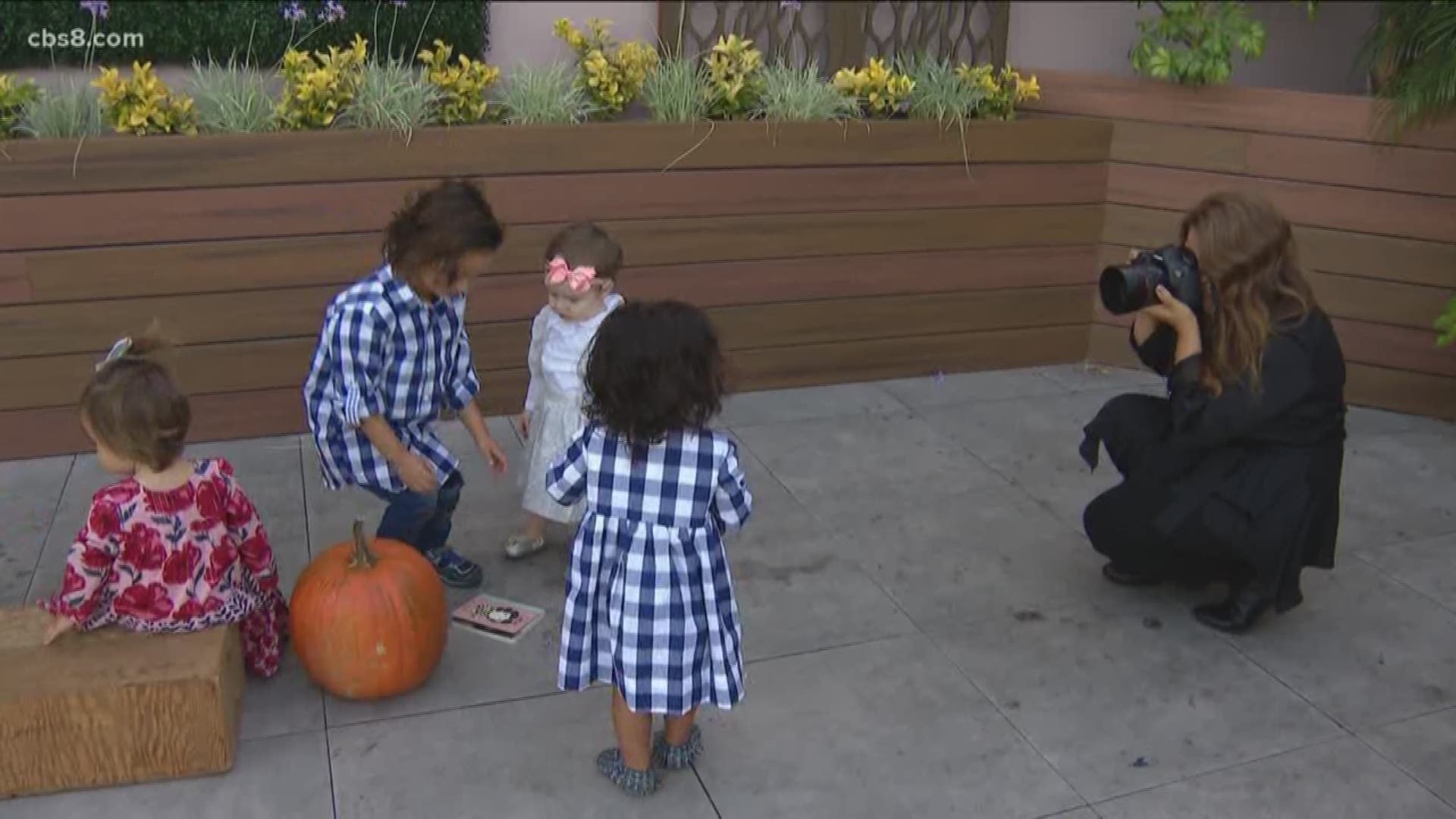 Tips to take the perfect picture for holiday cards | cbs8.com