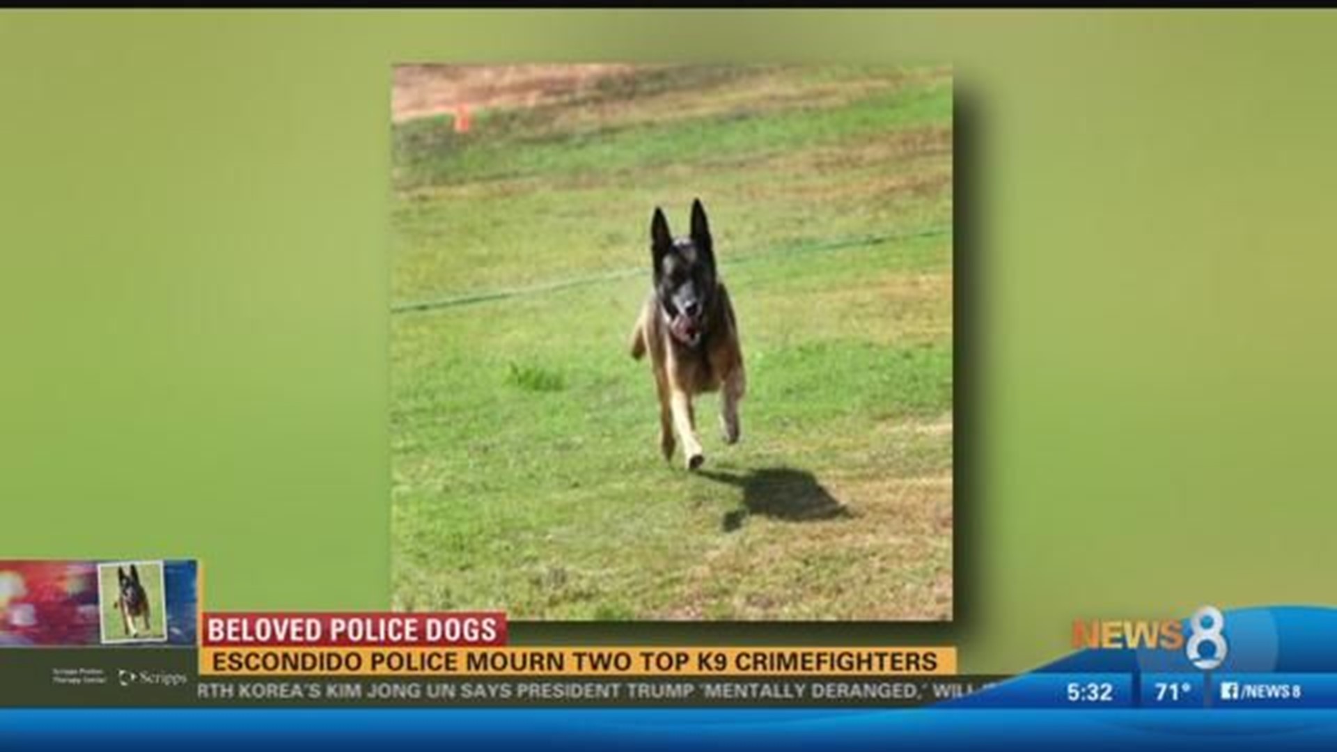 Escondido PD says goodbye to 2 beloved K-9s | cbs8.com