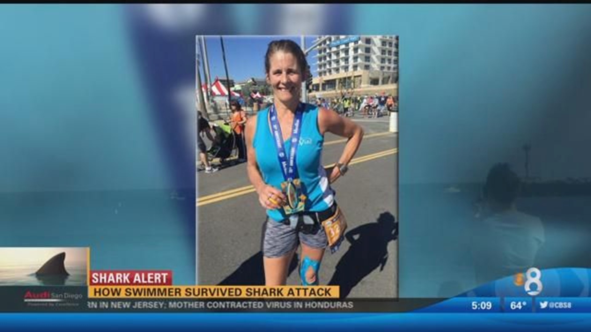 Suspected shark attack halts swimming at California beach | cbs8.com