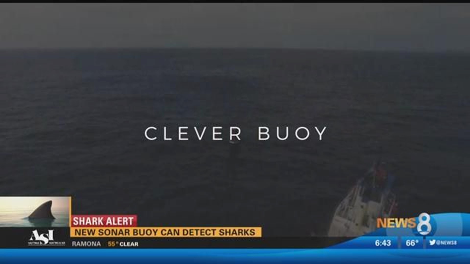 Shark Alert: New sonar buoy can detect sharks | cbs8.com