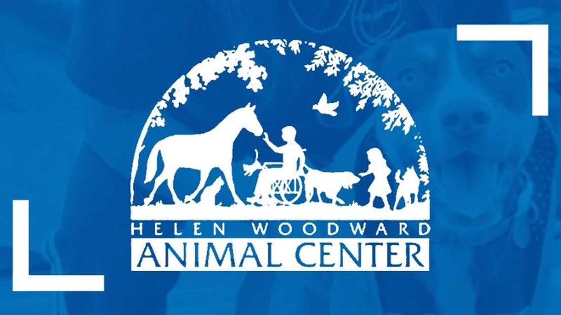 Helen Woodward Animal Center to offer adoptable dogs at Rancho Santa Fe ...