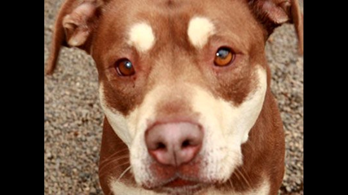 Bebe: Sweet and social | cbs8.com