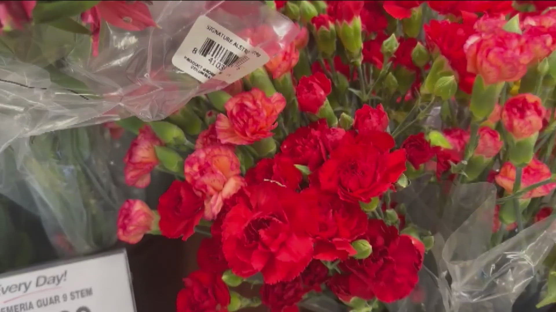 Motion looks to change City of San Diego's official flower | cbs8.com