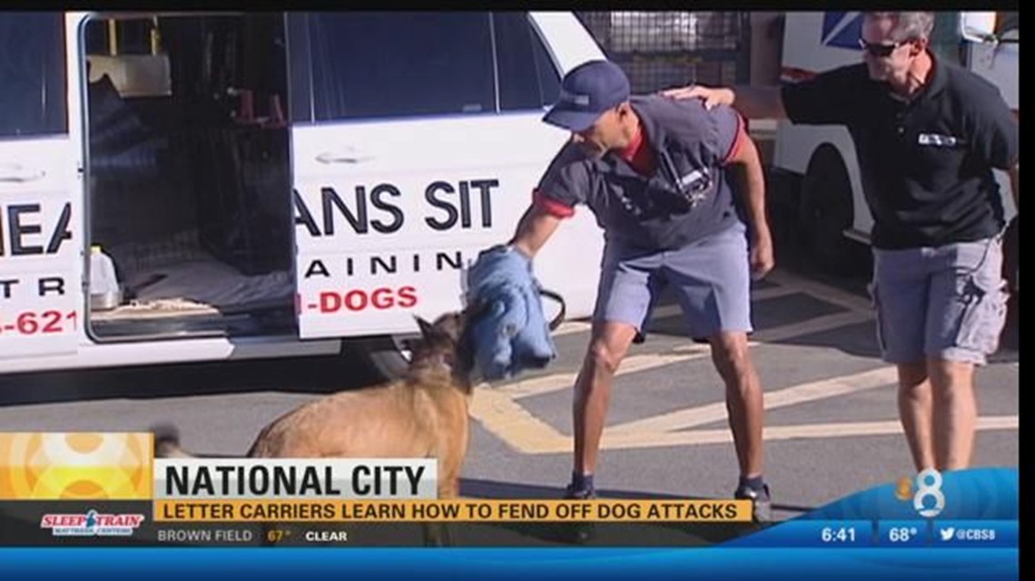 Letter carriers learn how to fend off dog attacks | cbs8.com