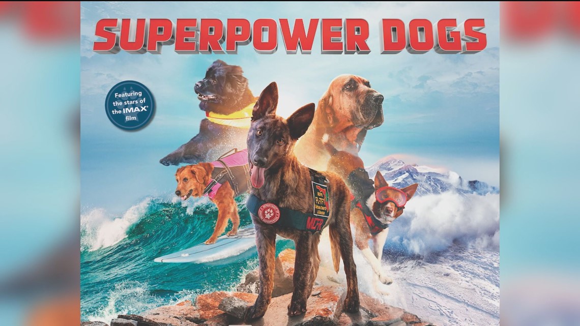 New IMAX movie follows superhero dogs including Ricochet the surfing ...