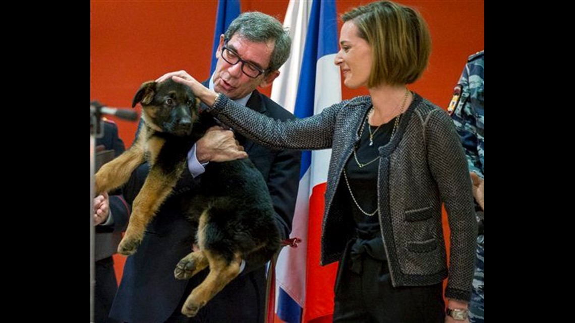 Russia gives France puppy to replace killed police dog | cbs8.com