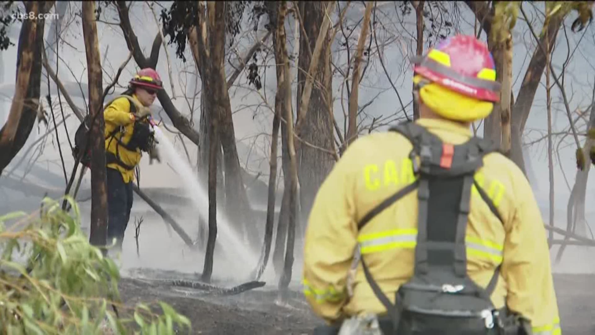 Vegetation fire in carlsbad near palomar airport road contained | cbs8.com