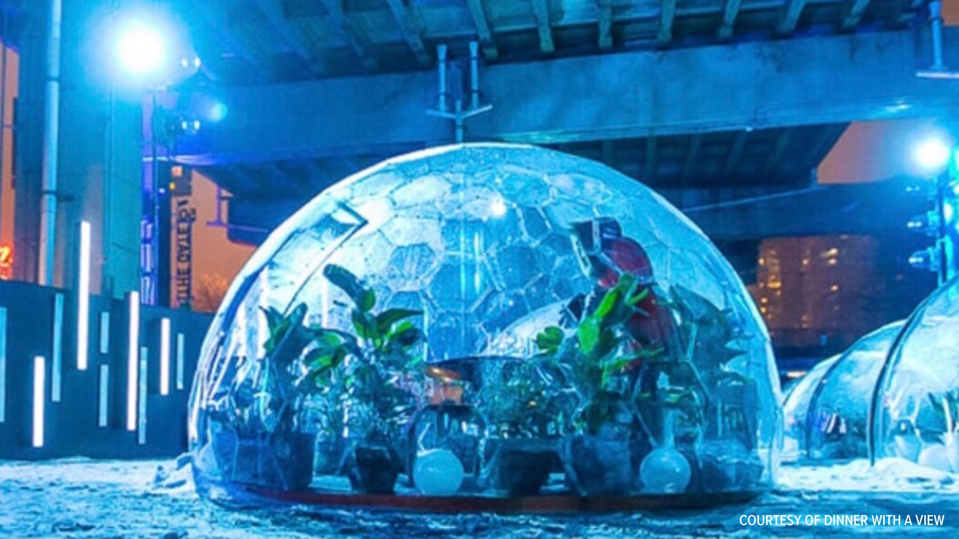 Behind the scenes with San Diego's 'Top Chef' serving dinner in domes ...