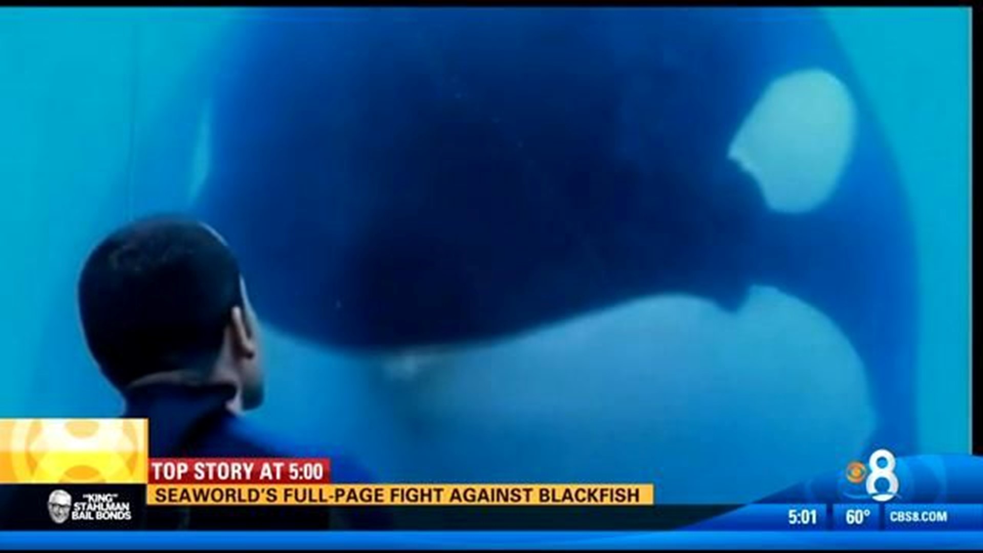 SeaWorld's full-page fight against 'Blackfish' | cbs8.com