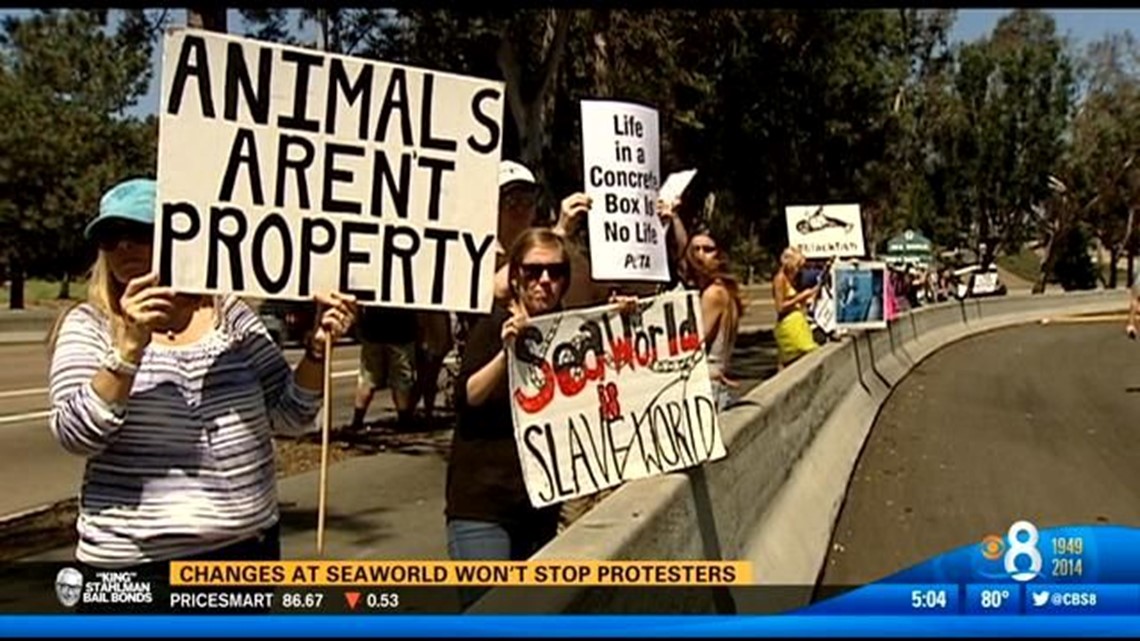 Changes at SeaWorld won't stop protesters | cbs8.com