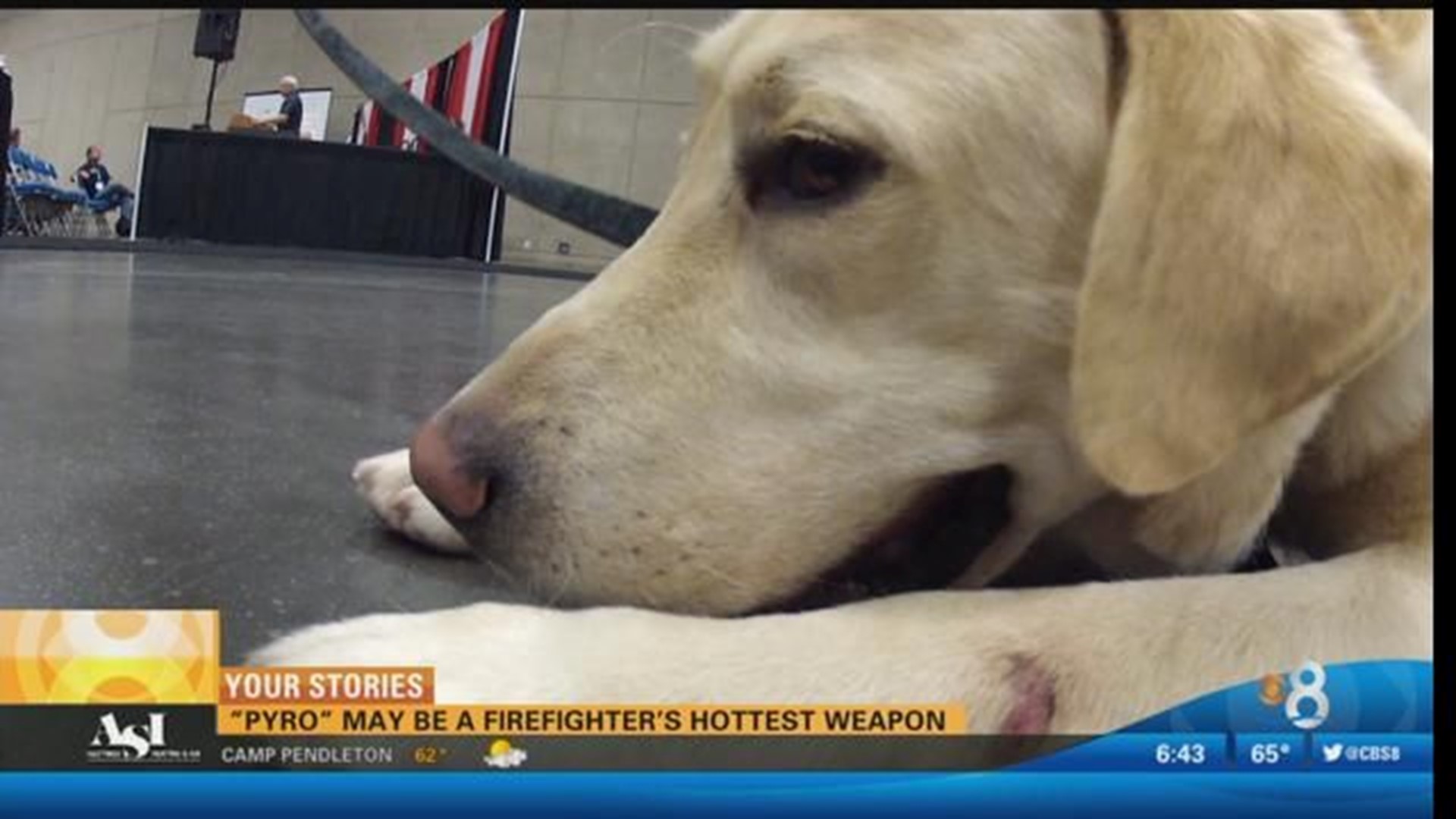 "Pyro" may be a firefighter's hottest weapon | cbs8.com