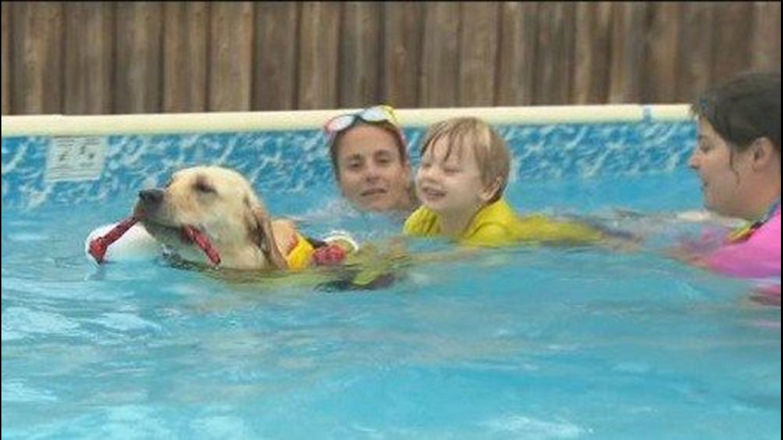 Famous surf dog's new lifesaving little buddy | cbs8.com