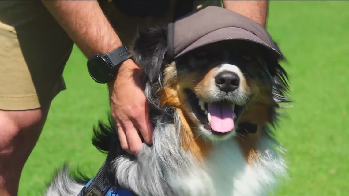 Freedom Dogs marks 20 years pairing service dogs with wounded warriors ...