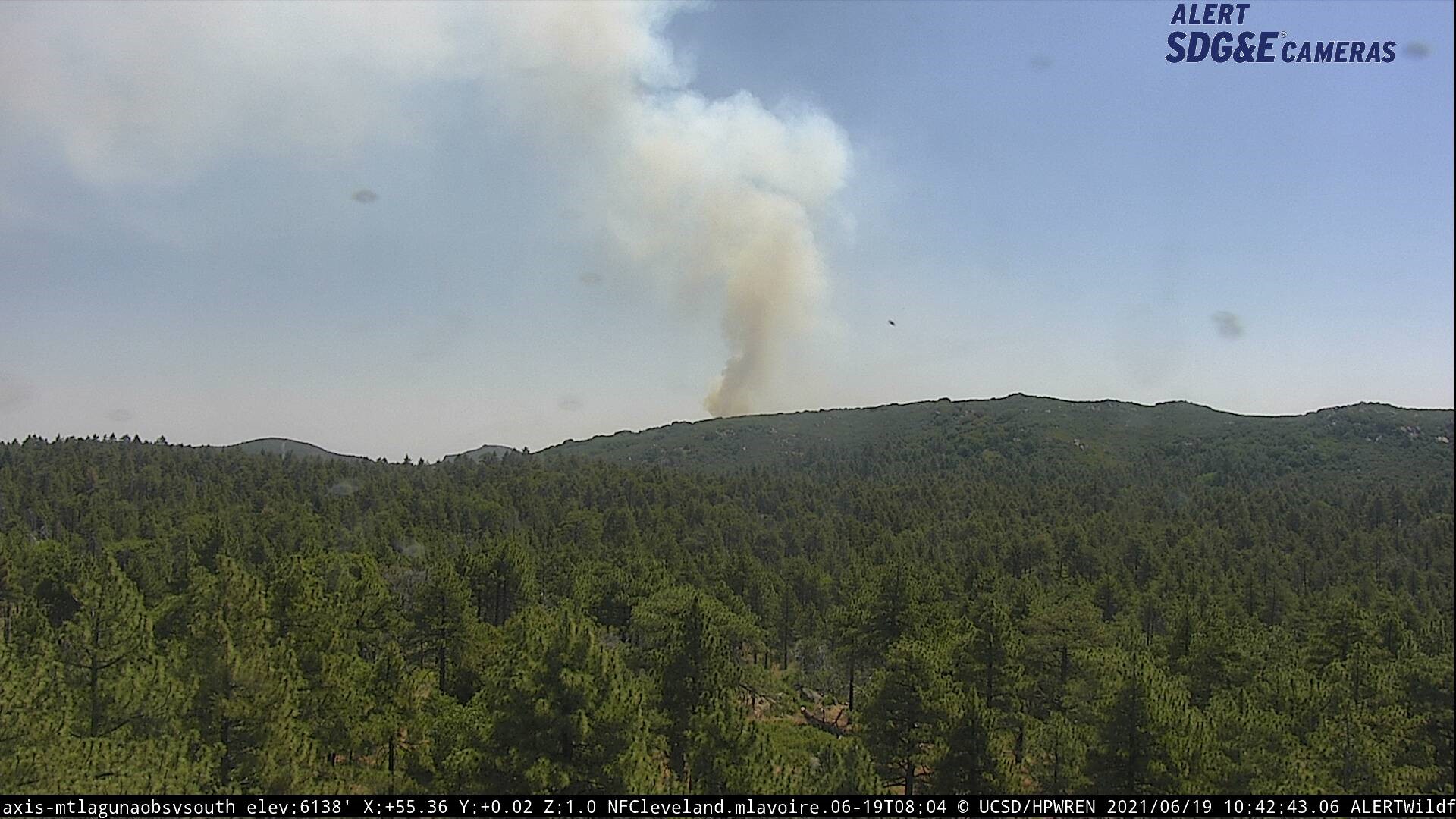 Canebrake wildfire burns 100-acres, 0% contained | cbs8.com