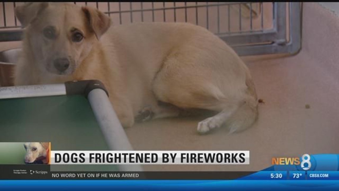 Reuniting dogs frightened by fireworks with their owners | cbs8.com