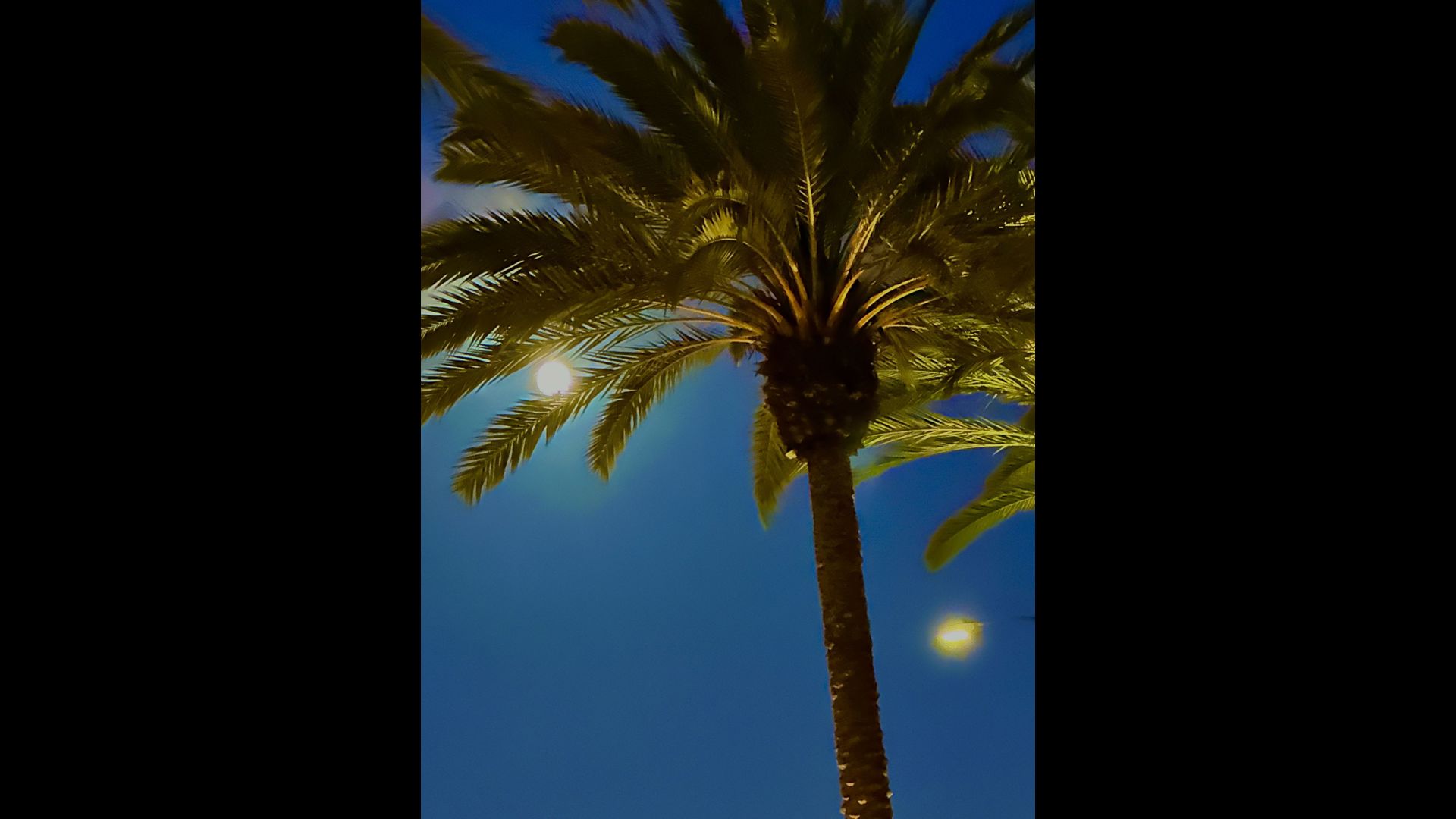 Photos | Blue supermoon shines across San Diego skies | cbs8.com